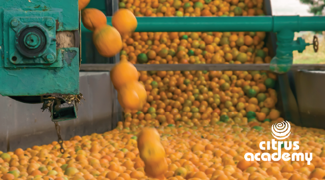 Post Harvest Practices | Learn MyLife