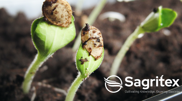 Seeds | Learn MyLife