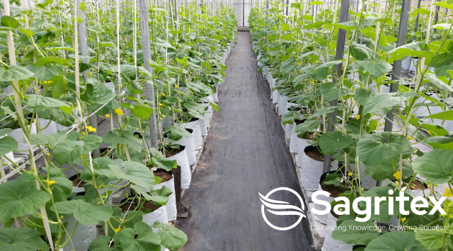 Undercover Farming | Learn MyLife