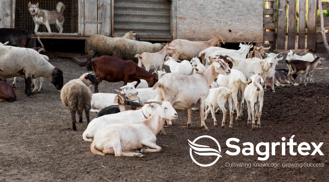 Small Stock Farming | Learn MyLife